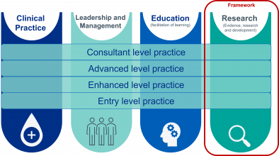 Multi-professional Practice-based Research Capabilities Framework ...