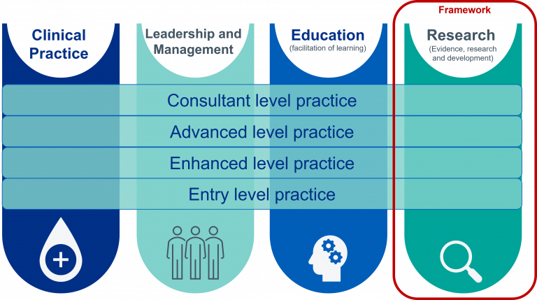 Multi-professional Practice-based Research Capabilities Framework - Advanced Practice
