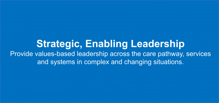 Consultant-level practice capability and impact framework - Advanced ...