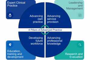 Advanced practice in mental health implementation guide - Advanced Practice