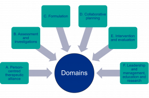 Advanced practice in mental health implementation guide - Advanced Practice