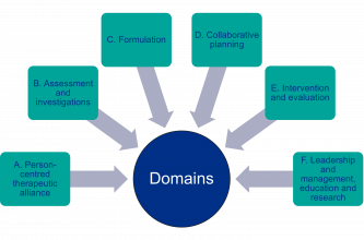 Advanced practice in mental health implementation guide - Advanced Practice