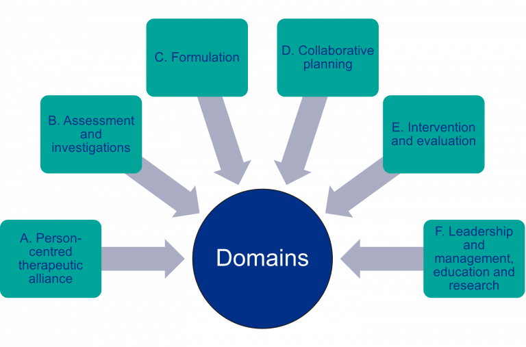 Advanced practice in mental health implementation guide - Advanced Practice