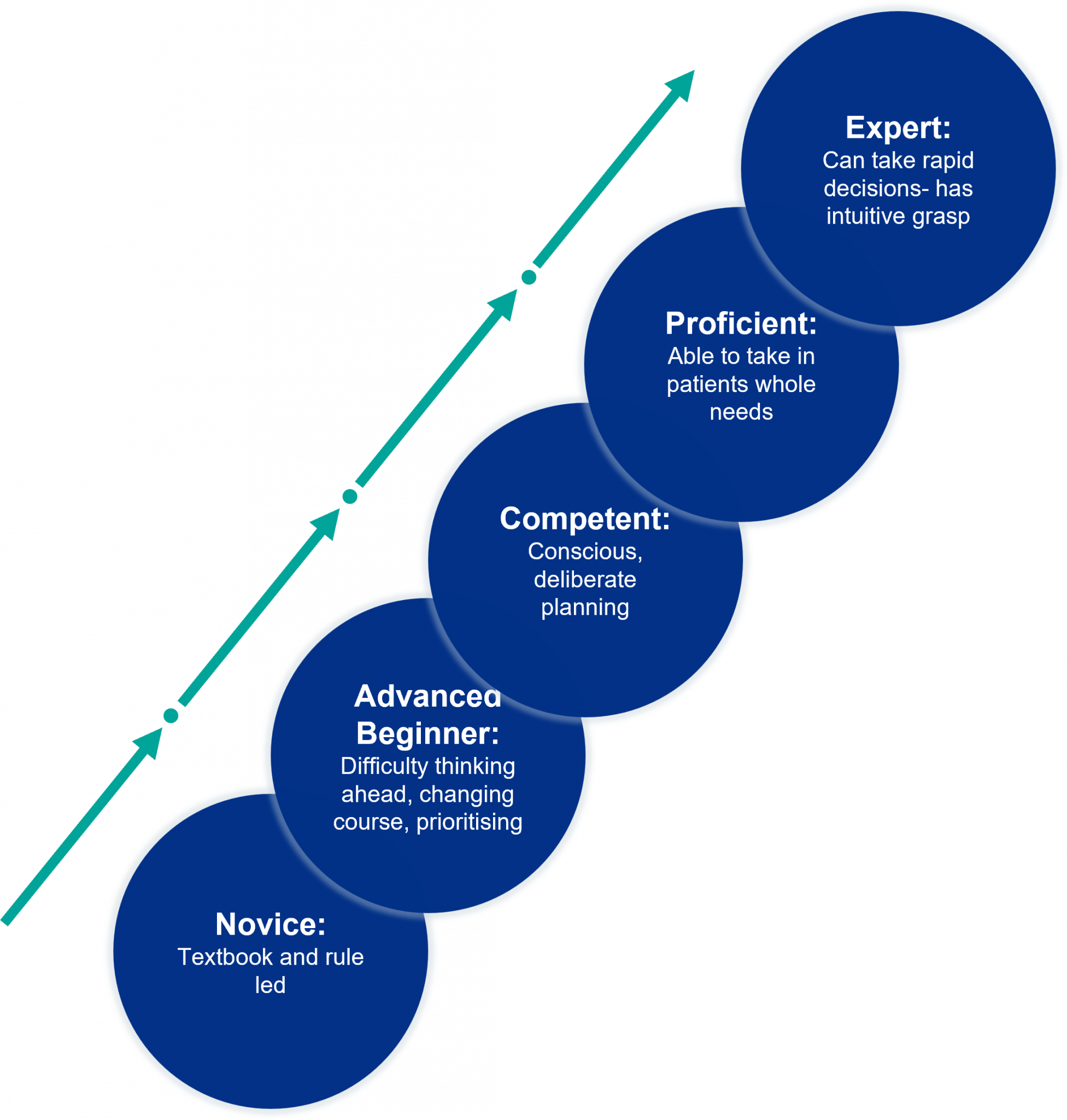 Popular supervision, skills acquisition and professional learning ...