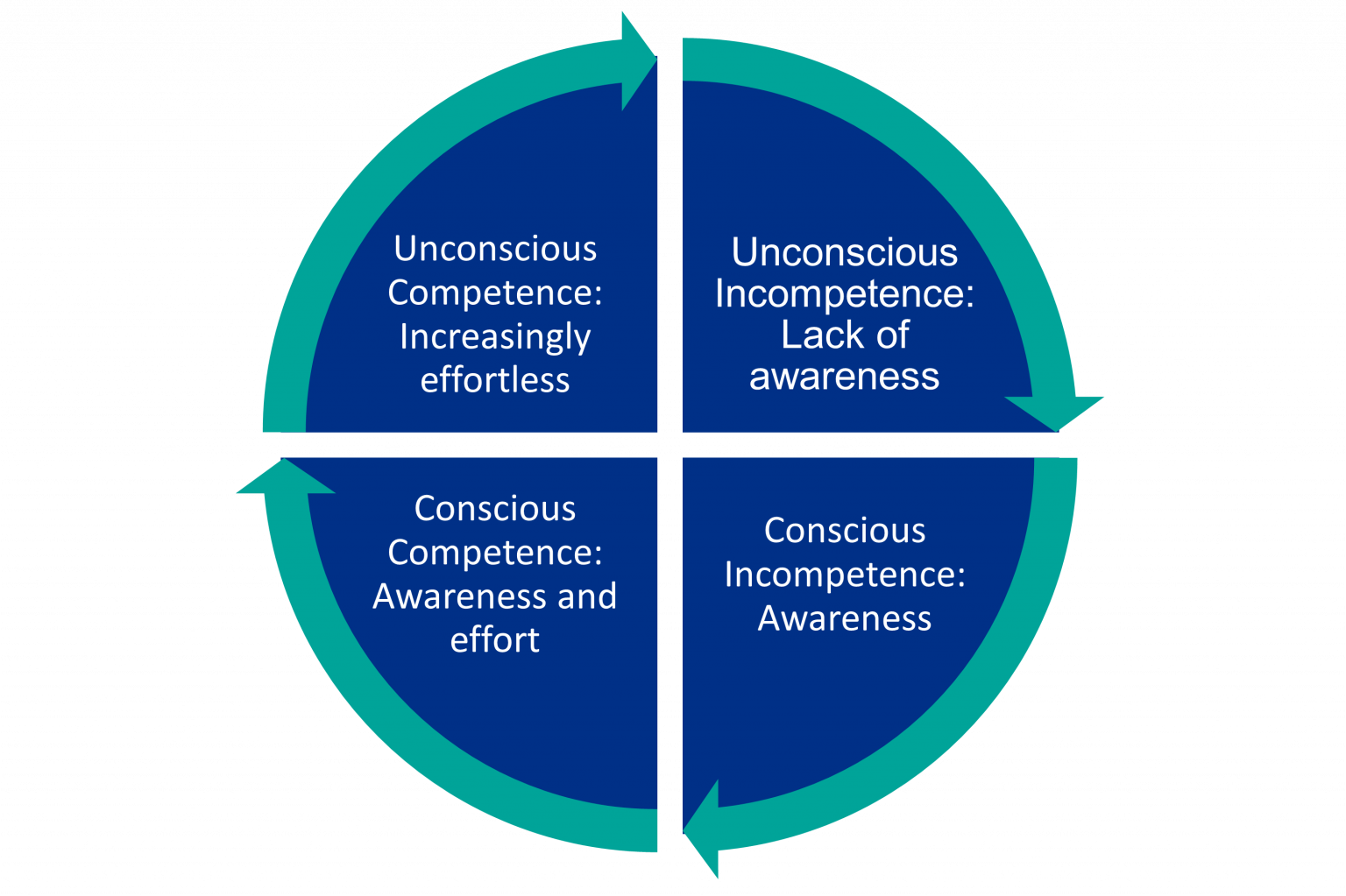 Popular supervision, skills acquisition and professional learning ...